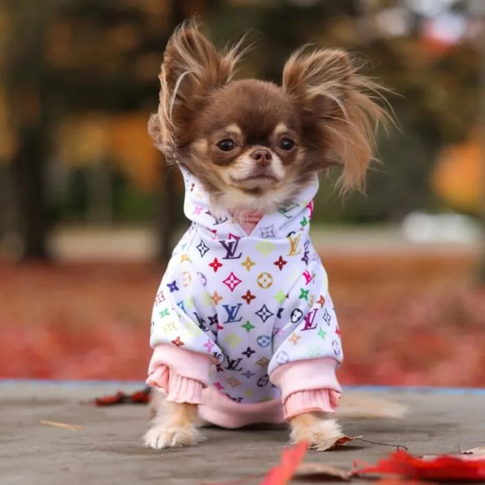 LouChi Hoodie - Chihuahua Shop