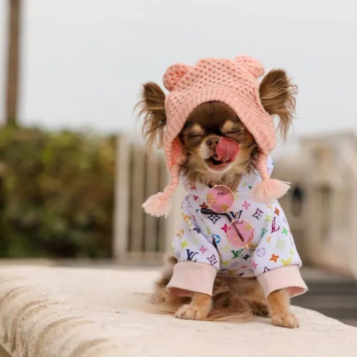 LouChi Hoodie - Chihuahua Shop